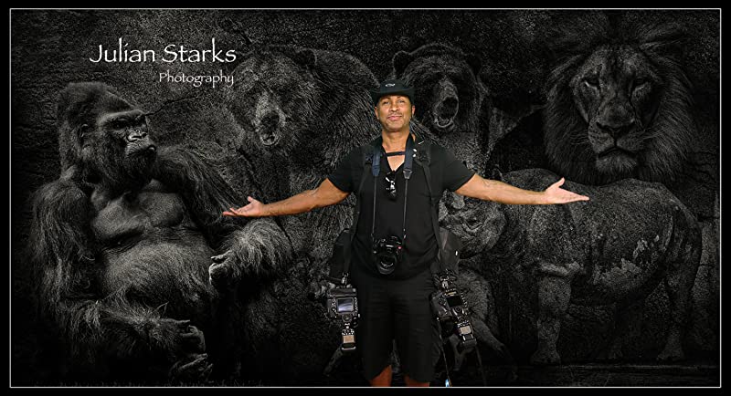 BookView Interview with Author Julian Starks – BookView Review