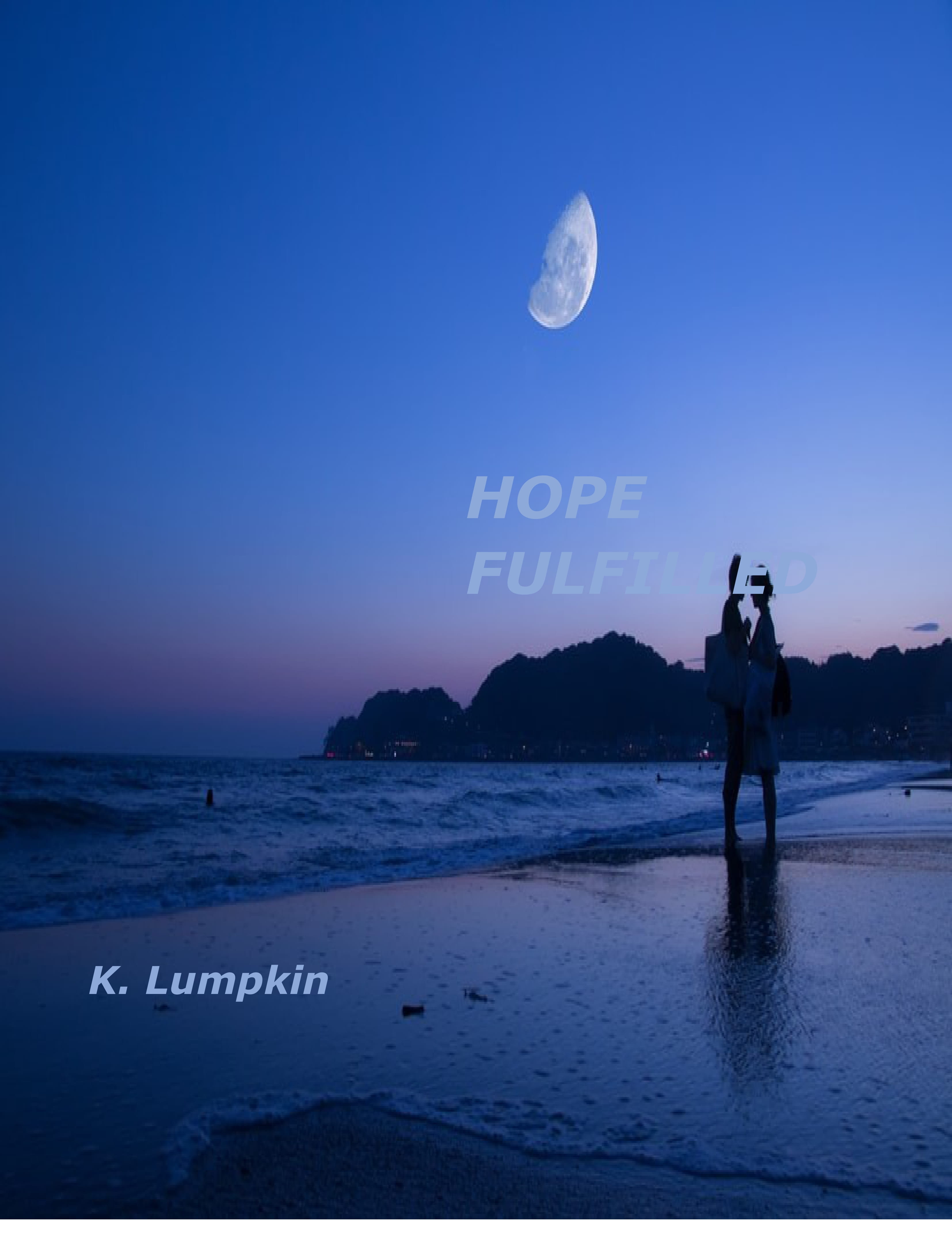 BookView Review: Hope Fulfilled K Lumpkin – BookView Review